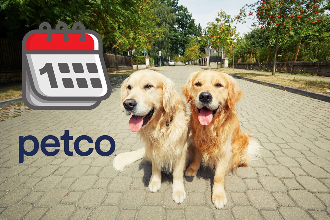 Petco Día del Perro: ¿Qué promociones tendrá la tienda de mascotas para ...