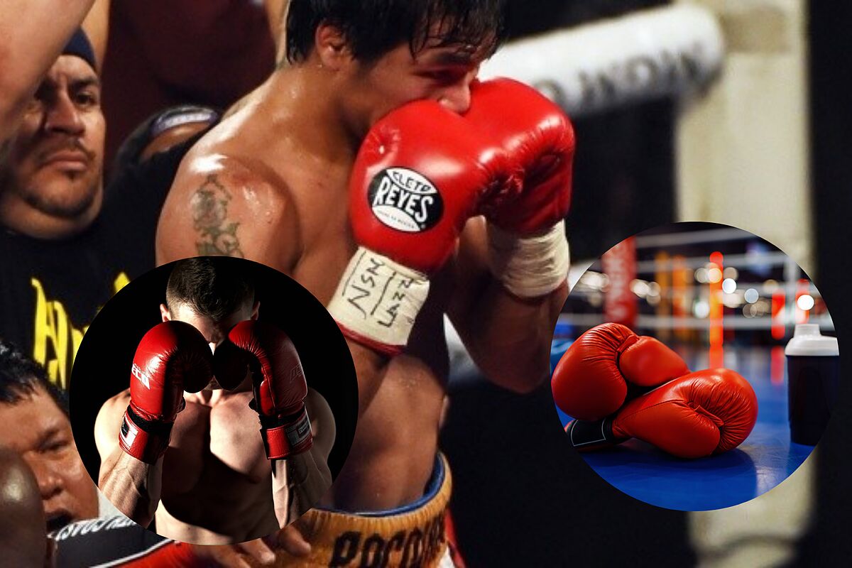 ¿Cuáles son las mejores marcas de guantes de boxeo en México, según la ...